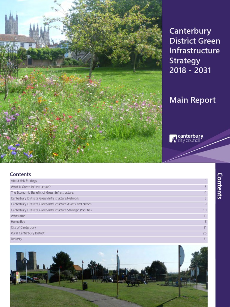 Green Infrastructure Strategy Adopted Nov 18 | PDF | Green ...