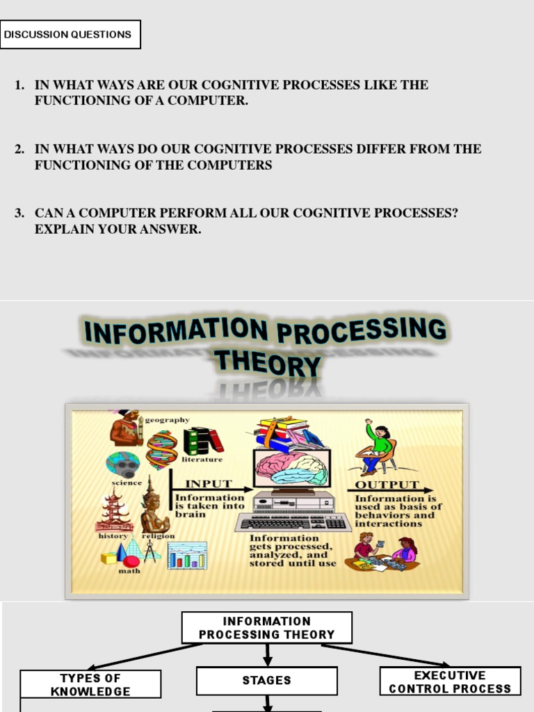 Information Processing Theory | PDF | Memory | Cognition