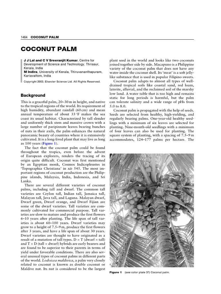 First Page PDF | PDF | Coconut | Arecaceae