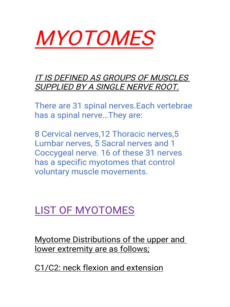 Myotome Distribution and Functions | PDF