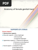 Menopause and Hormone Replacement Therapy HRT Guidelines | PDF ...