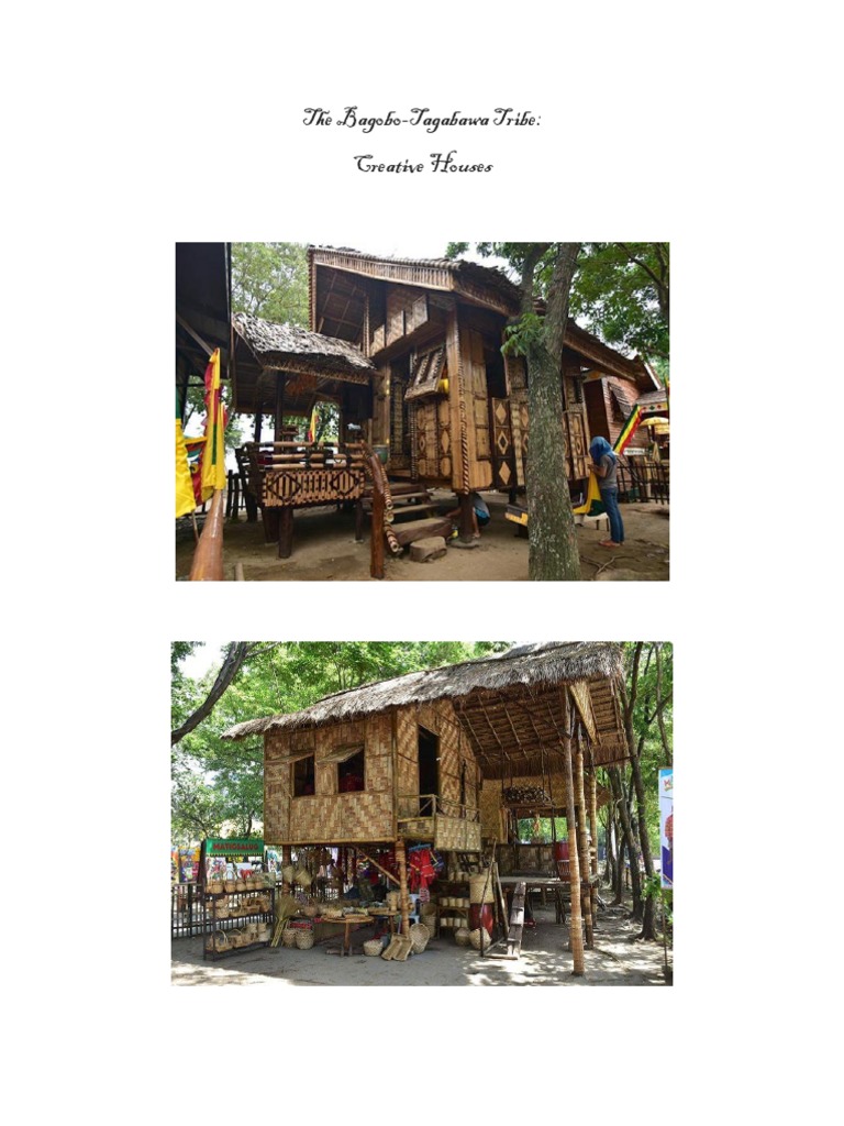 The Bagobo-Tagabawa Tribe: Creative Houses | PDF