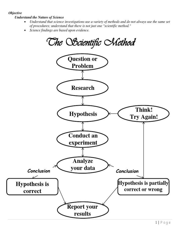 The Scientific Method H | PDF | Experiment | Scientific Method