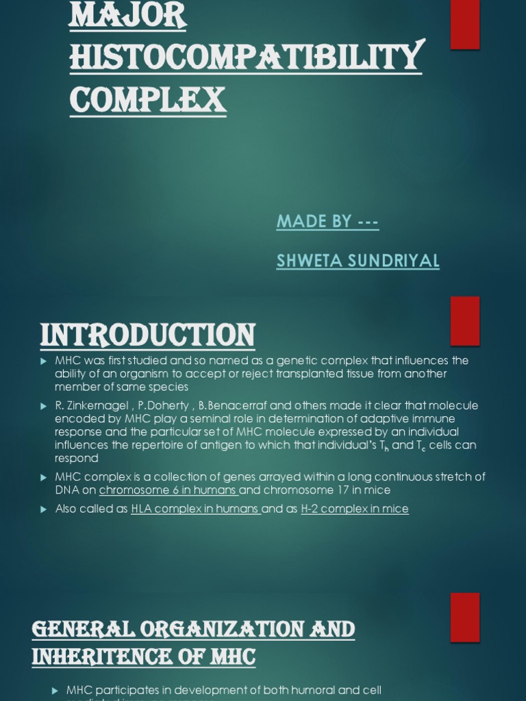 Major Histocompatibility Complex | PDF