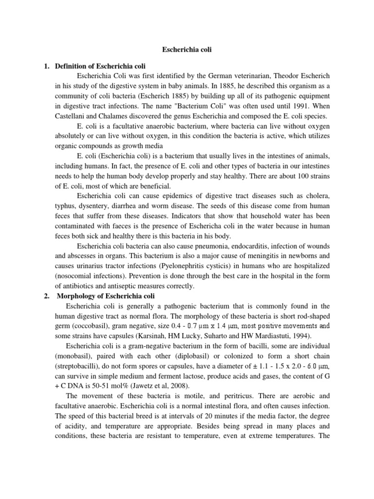 Escherichia Coli 1. Definition of Escherichia Coli | PDF | Escherichia ...