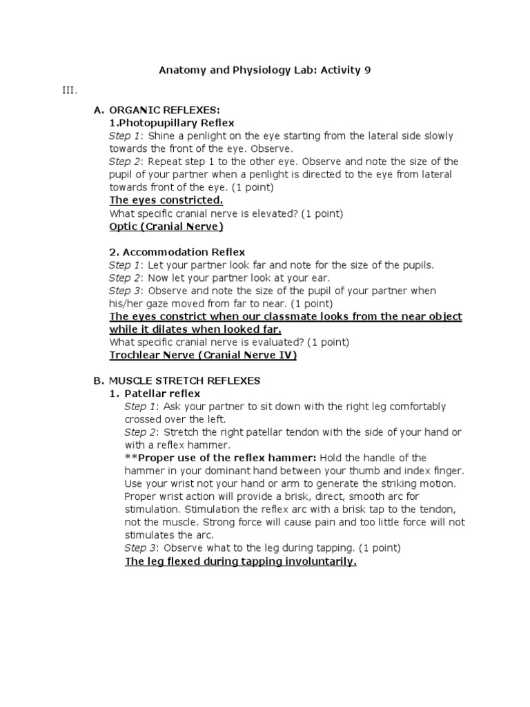 Anatomy and Physiology Lab Activity 9 | PDF | Hand | Arm