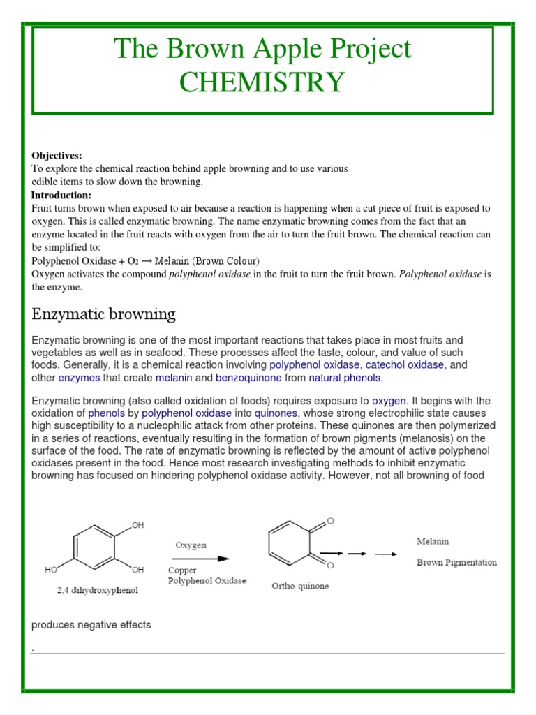 The Brown Apple Project Chemistry: Enzymatic Browning | Download Free ...