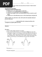 Gummy Bear Dissection Guide | PDF