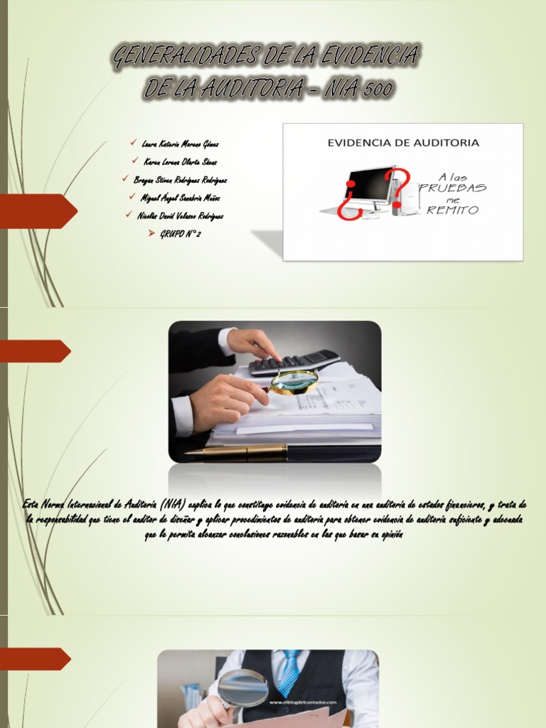 Nia 500 Exposicion | PDF | Auditoría | Contralor