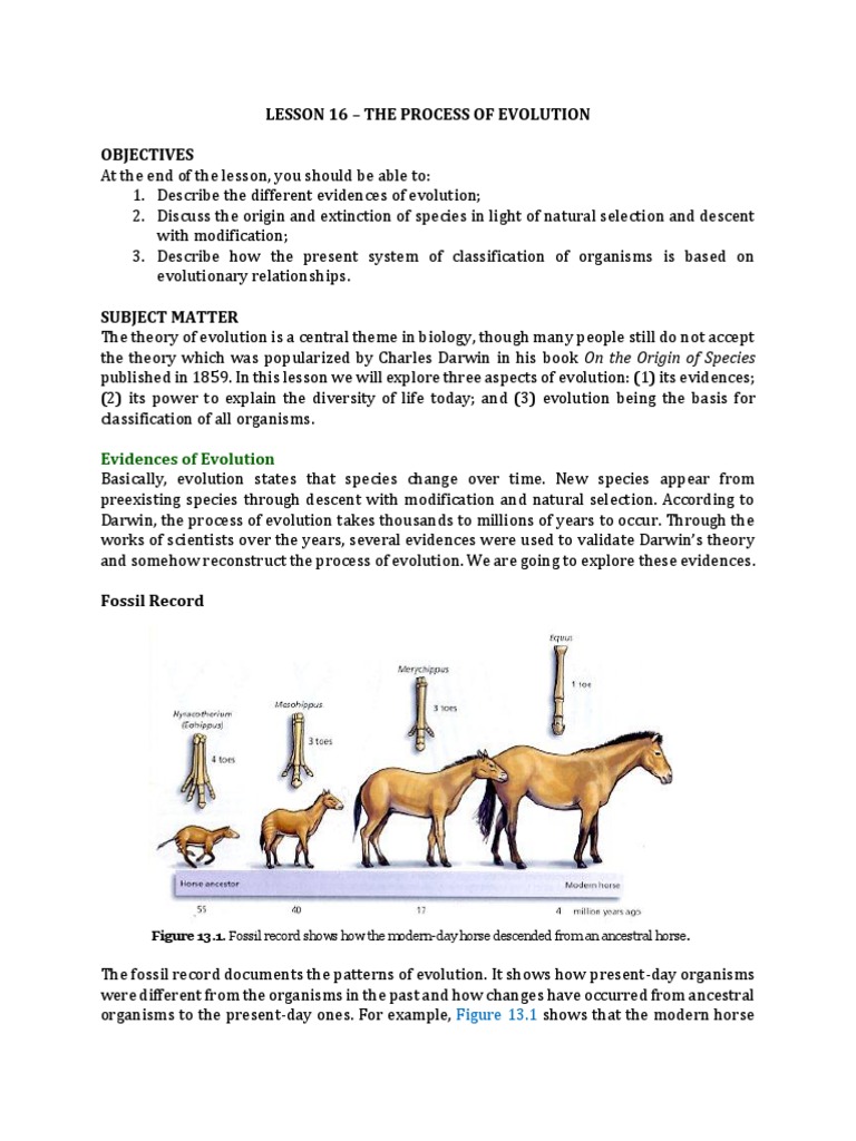 Exploring the Mechanisms and Evidence of Evolution Through Natural Selection | PDF | Homology ...