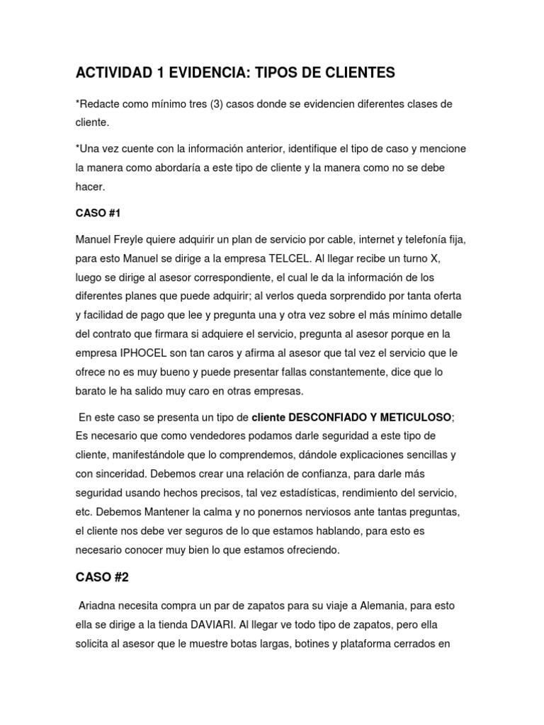 Actividad 1 Evidencia: Tipos de Clientes | PDF | Cliente
