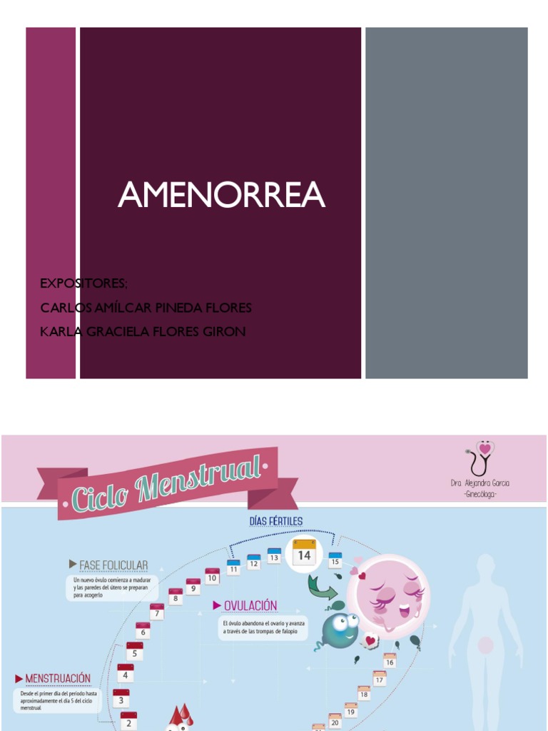 Amenorrea | PDF | Ciclo menstrual | Sistema Reproductor Femenino Mamífero