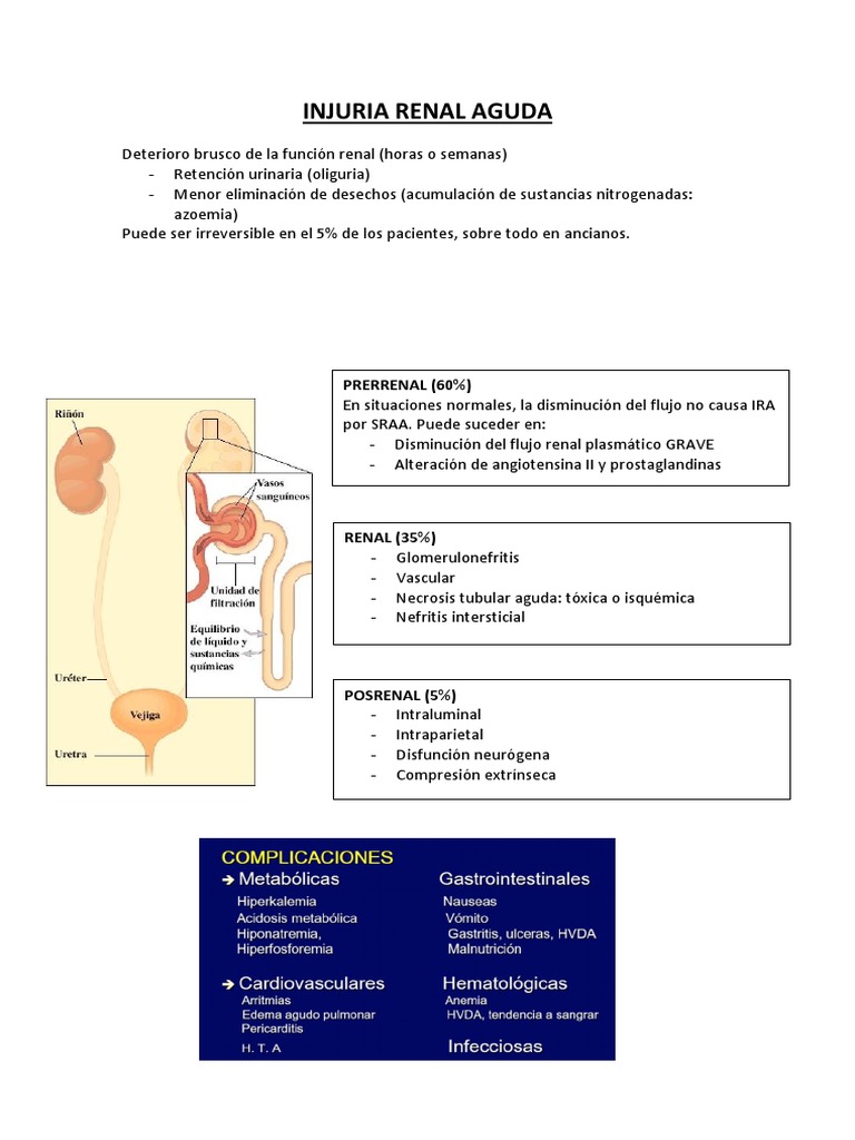 Injuria Renal Aguda | PDF | Riñón | Nefrología