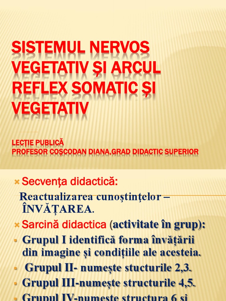 Sistemul Nervos Vegetativ Și Arcul Reflex Somatic Și | PDF