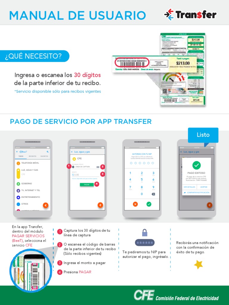 Manual Cfe | PDF | Bancos | Software