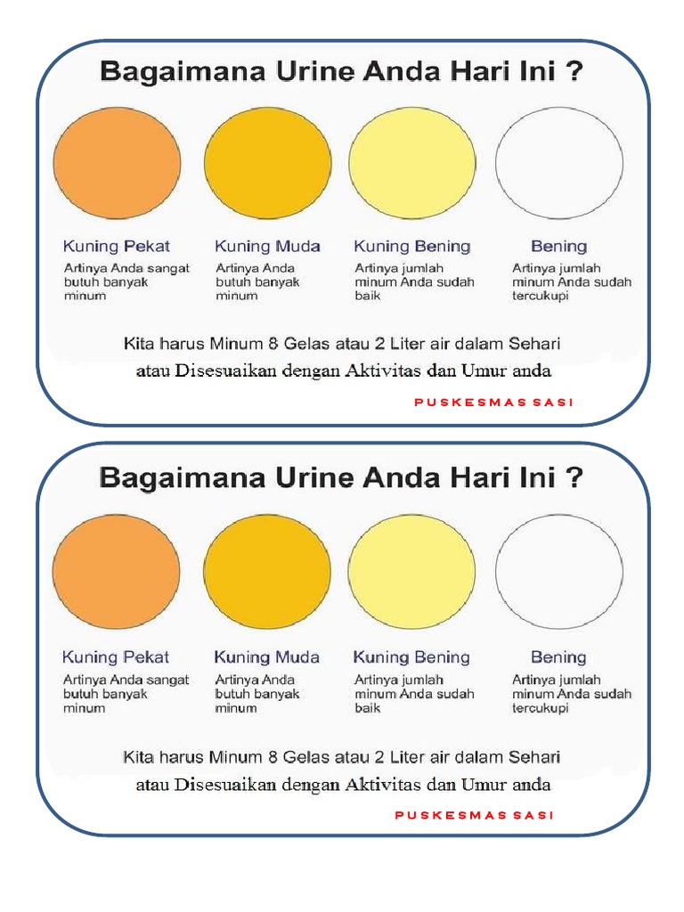 Gambar Warna Urine | PDF