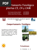 Apoplasto y Simplasto | PDF | Raíz | Biología Celular)