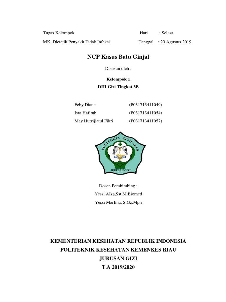 NCP Batu Ginjal Siap | PDF | Kesehatan Holistik | Sains & Matematika