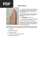 Proceso Alveolar | PDF | Hueso | Anatomía