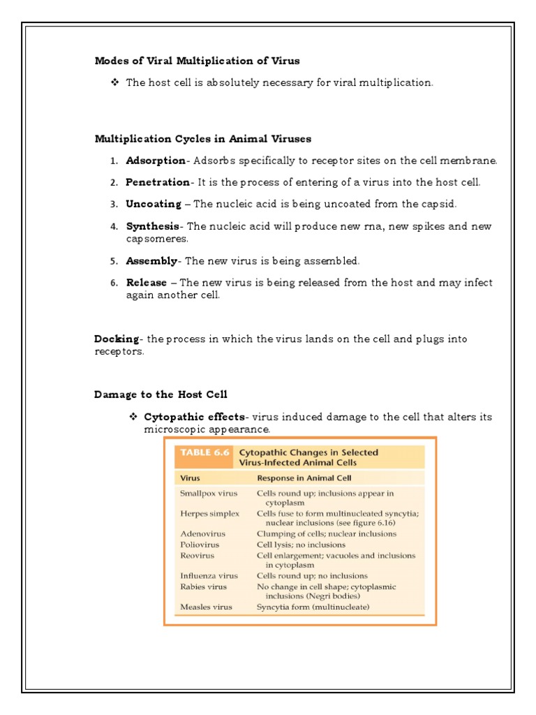 Modes of Viral Multiplication of Virus | PDF | Virus | Influenza