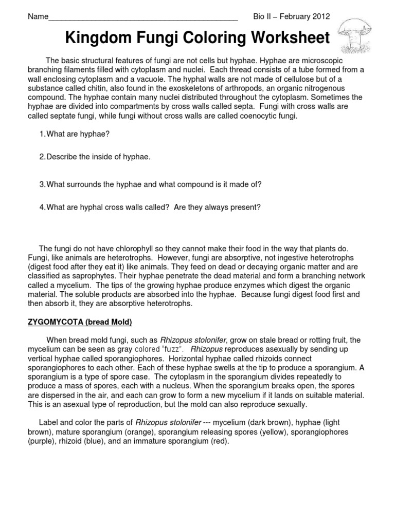 2-23 - Fungi Coloring Worksheet PDF | PDF | Fungus | Mushroom