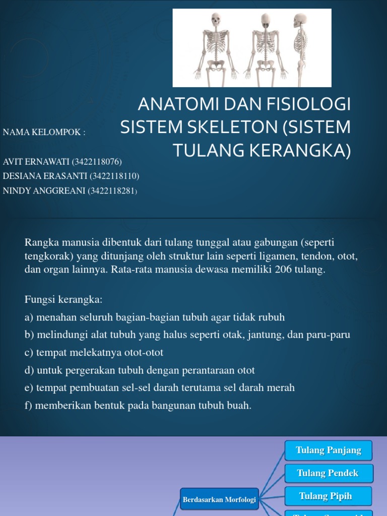 Anatomi Dan Fisiologi Sistem Skeleton (Sistem Tulang) | PDF