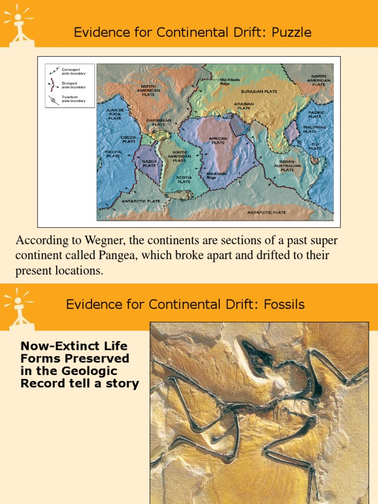Evolution of Ocean Basin | PDF | Plate Tectonics | Sedimentary Basin