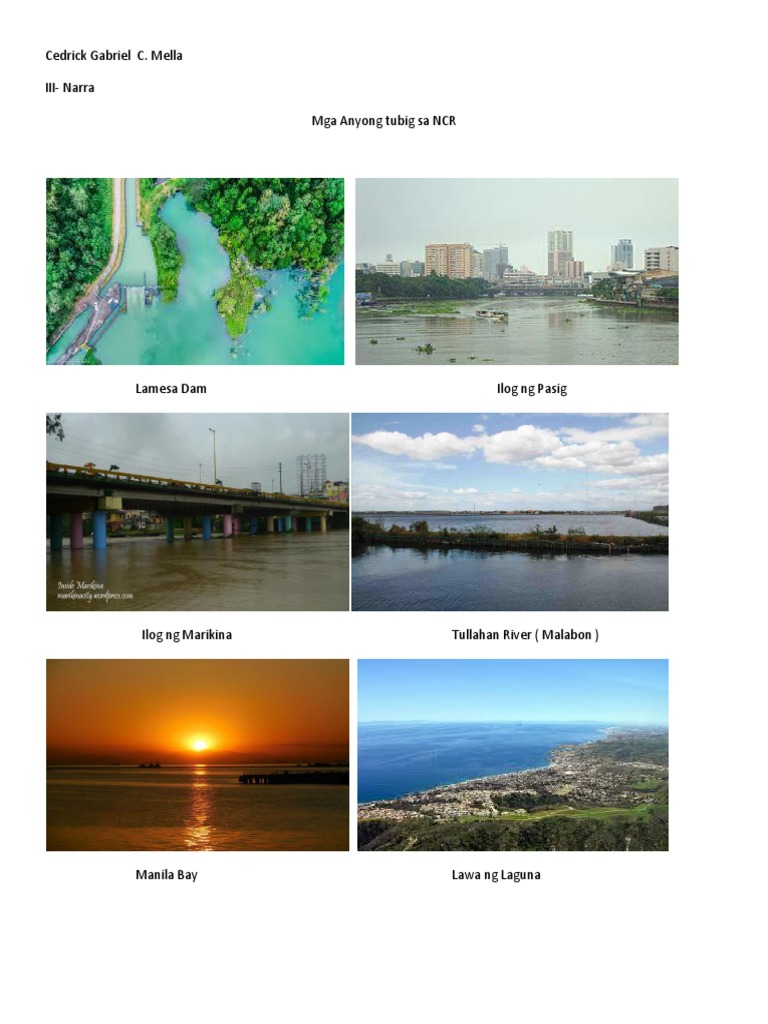 Anyong Tubig at Lupa Sa NCR | PDF