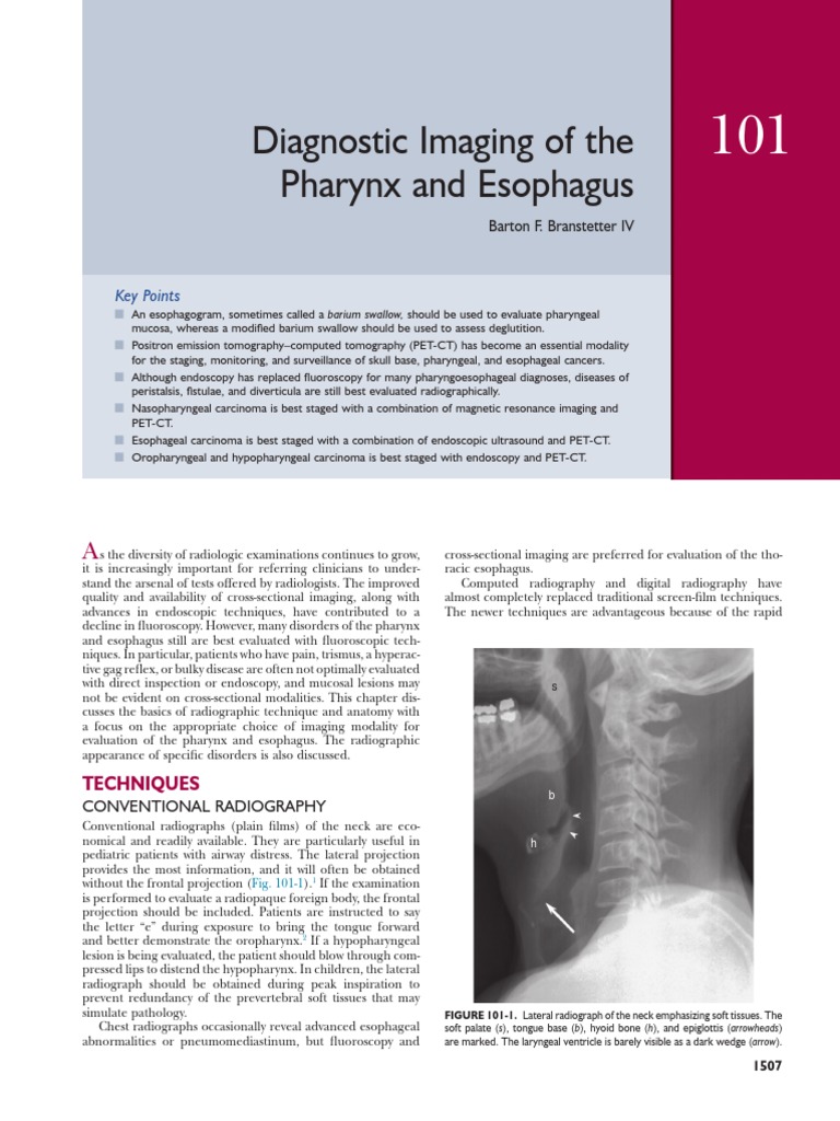 Diagnostic Imaging of The Pharynx and Esophagus: Key Points | PDF ...