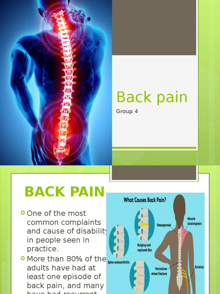 Back Pain: Group 4 | PDF | Back Pain | Vertebral Column