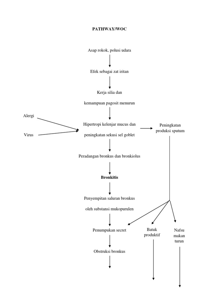 Pathway Bronkitis | PDF