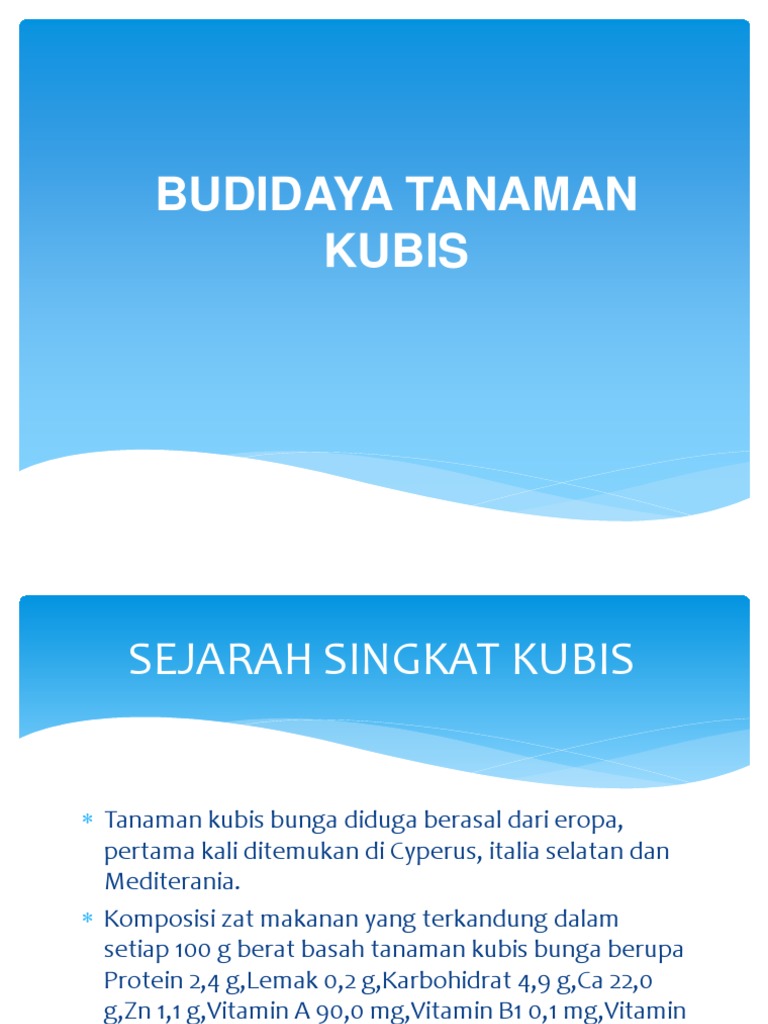 Teknik Budidaya Tanaman Kubis | PDF | Griya & Taman