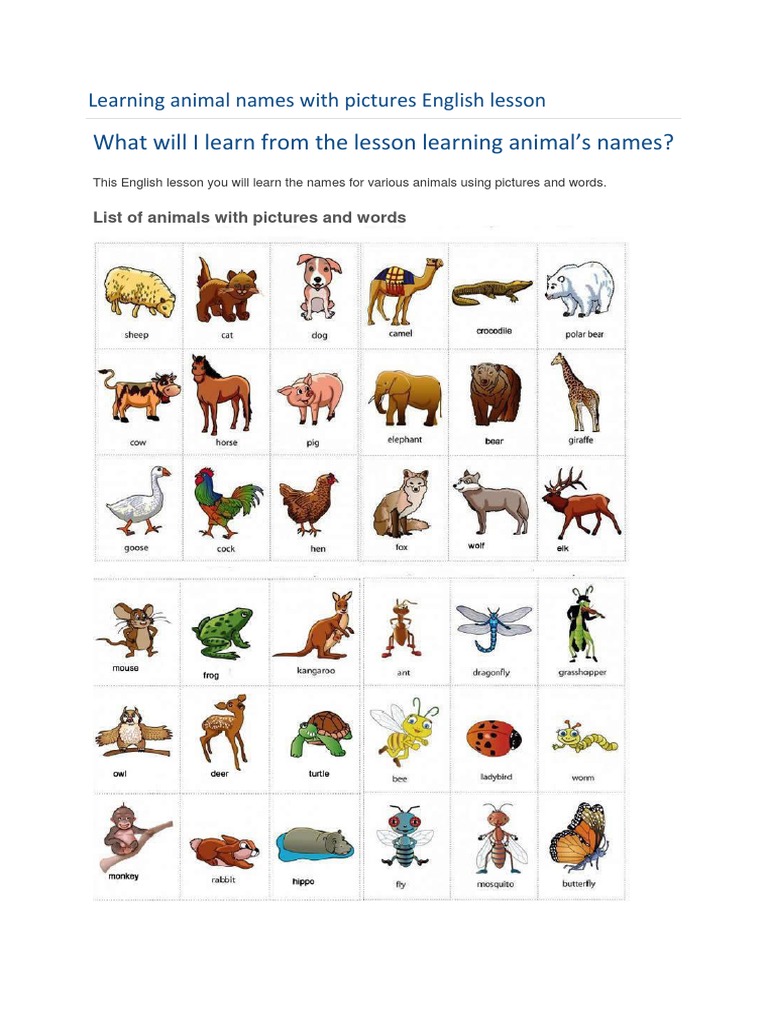 Learn Animal Names with Pictures | PDF | Language Arts & Discipline