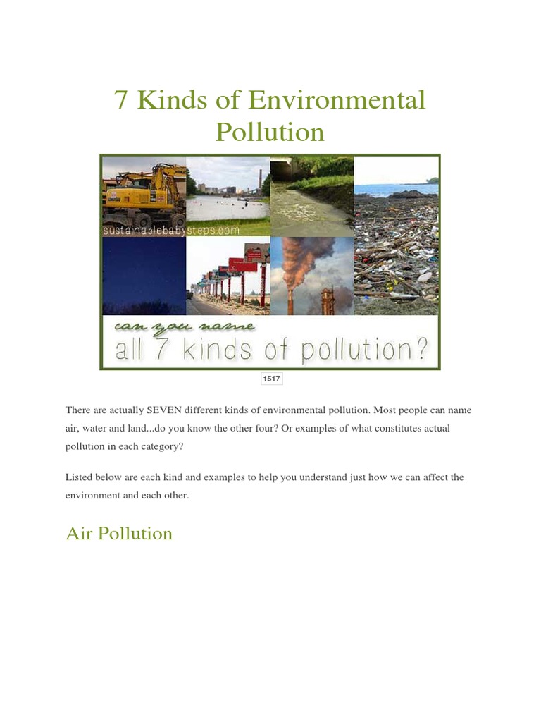 Seven Types of Environmental Pollution | PDF | Water Pollution | Pollution