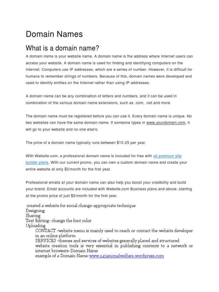 Domain Names: What Is A Domain Name? | PDF