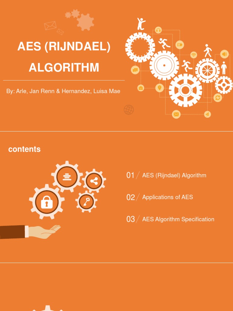 AES Rijndael Algorithm (PPT REPORT) | PDF | Espionage Techniques | Cyberwarfare