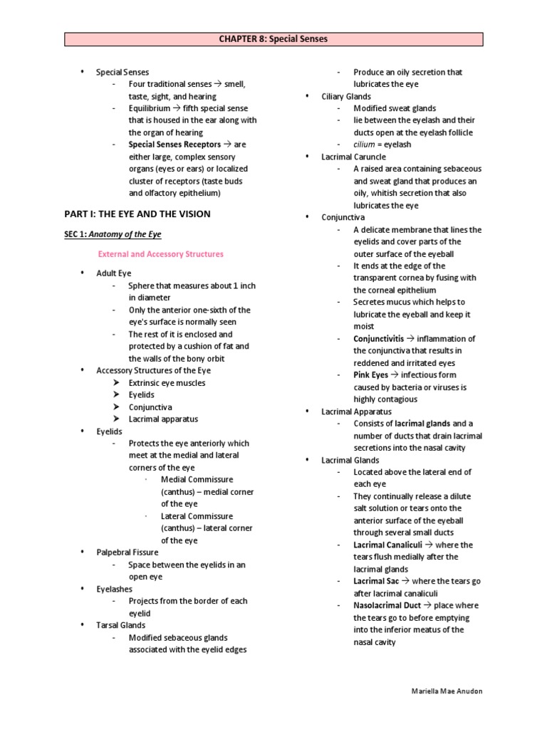 Chapter 8 AnaPhy | Download Free PDF | Ear | Visual System