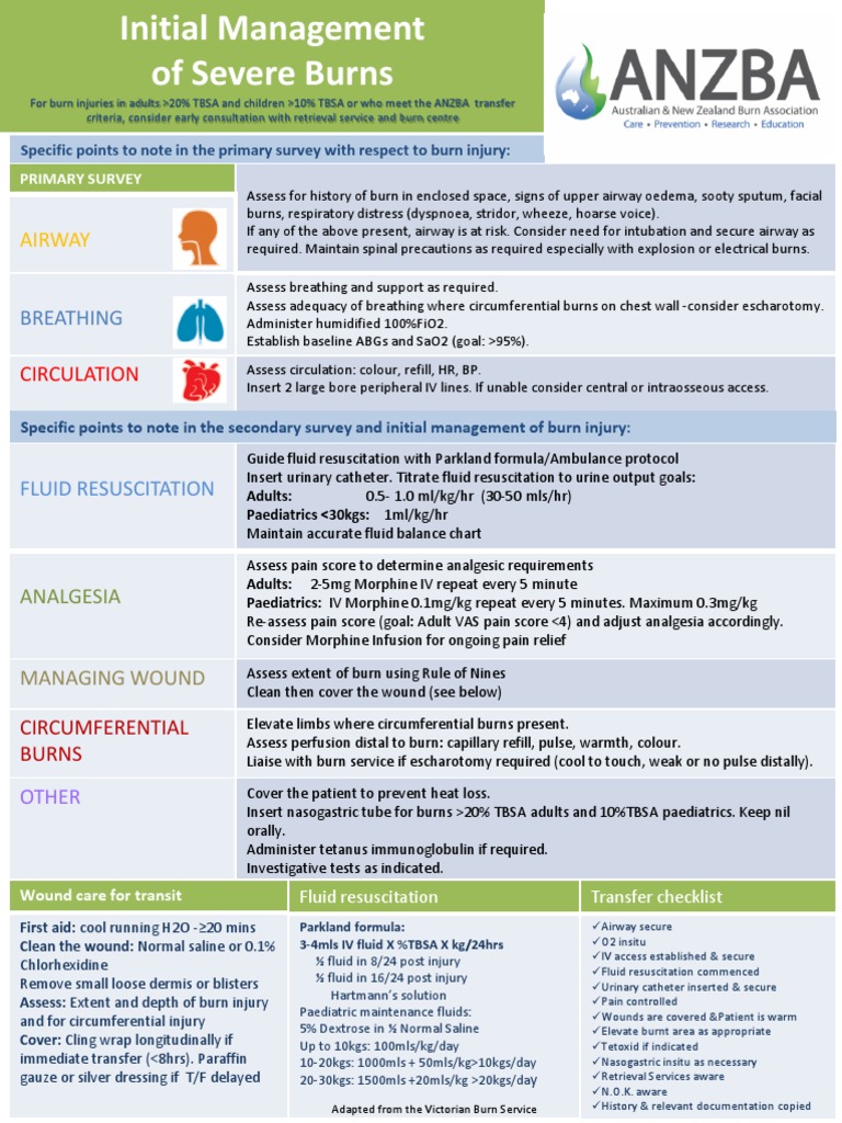 Anzba | PDF | Burn | Intravenous Therapy