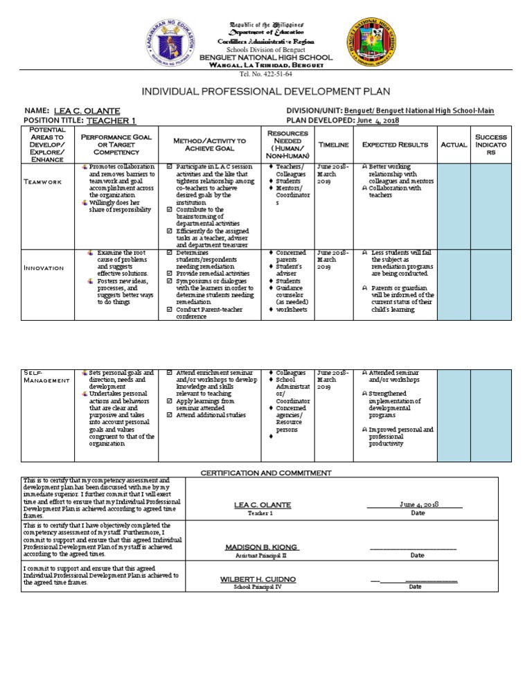 Ipdp 2018 2019 Pdf Mentorship Brainstorming