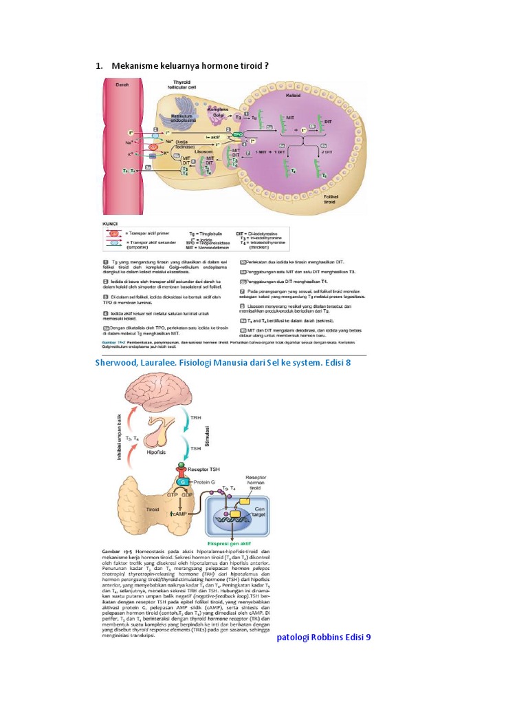 LBM 3 Step 7-Sgd 6 | PDF