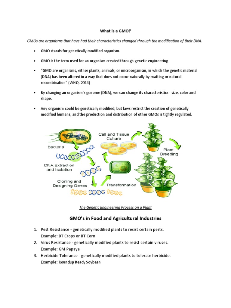 Gmos Are Organisms That Have Had Their Characteristics Changed Through ...
