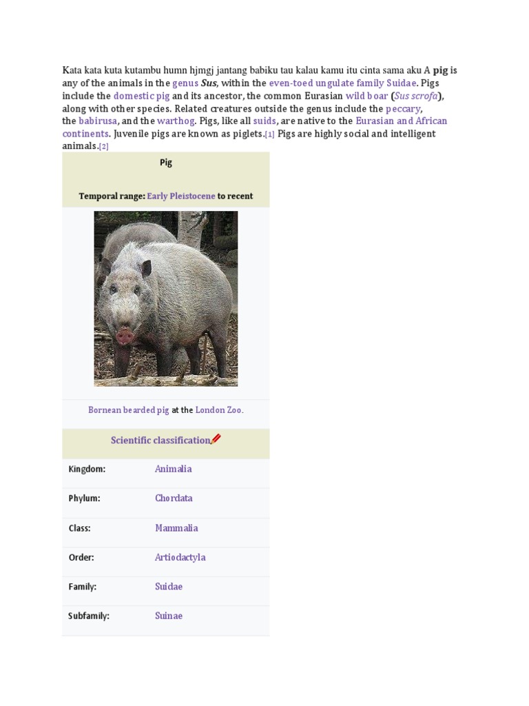 Genus Even-Toed Ungulate Family Suidae Domestic Pig Wild Boar Peccary ...