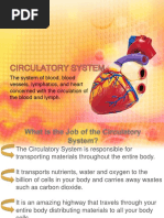 The Circulatory System | PDF | Heart | Circulatory System