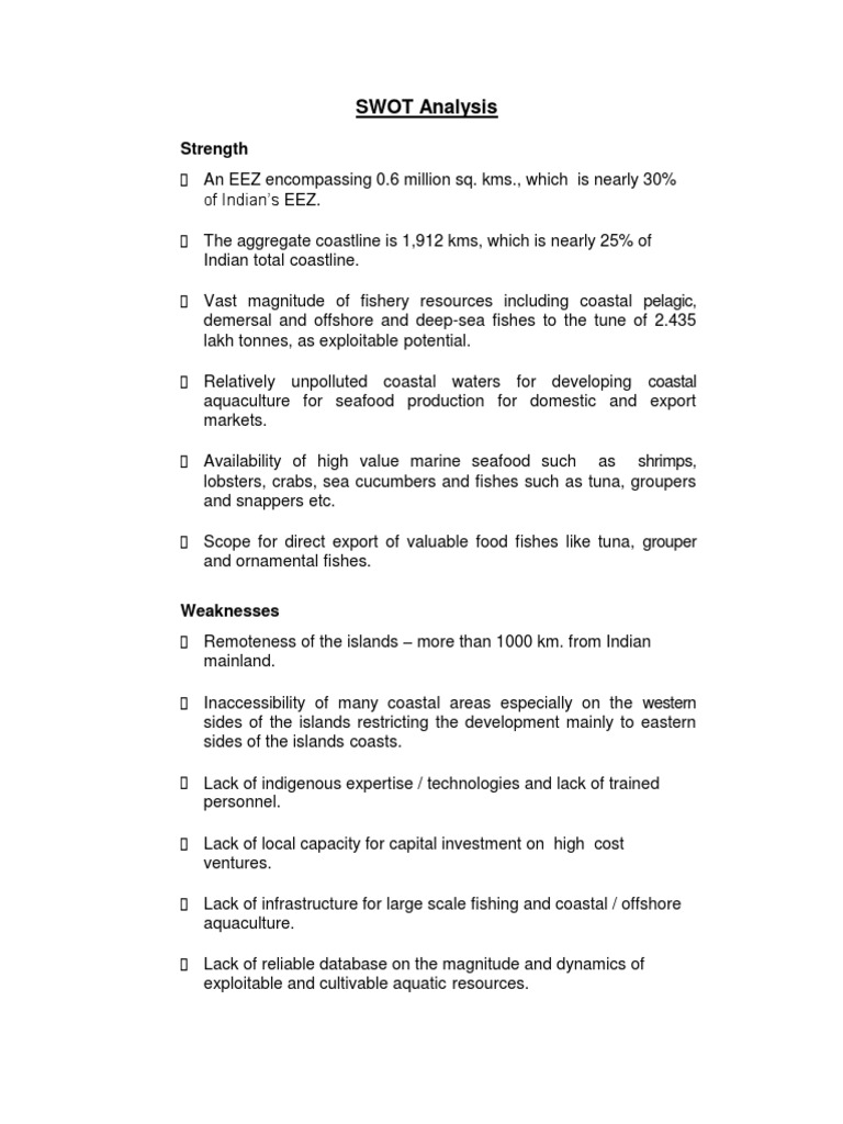 17 - B - SWOT Analysis | PDF