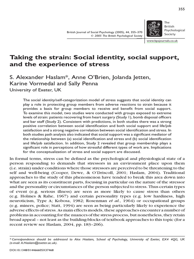 Taking The Strain: Social Identity, Social Support, and The Experience ...