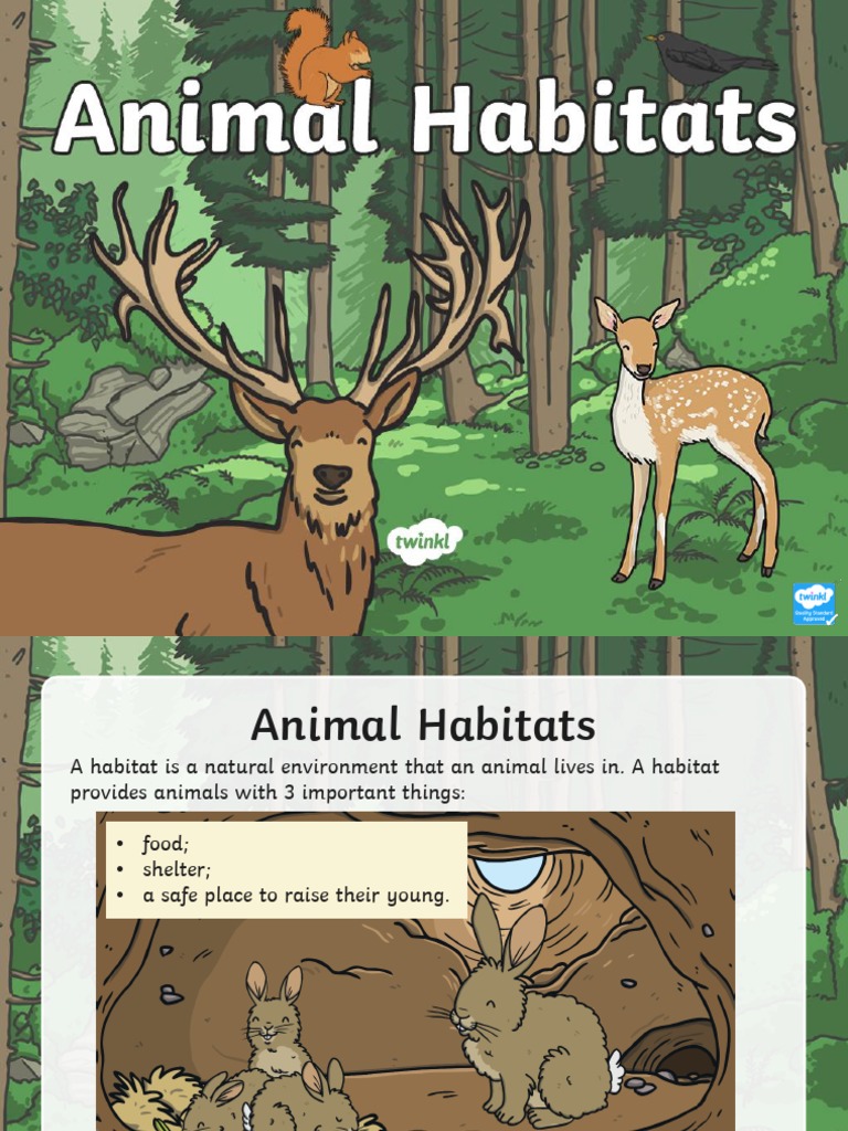 T T 4796 Animal Habitats Powerpoint - Ver - 1 | PDF | Science & Mathematics