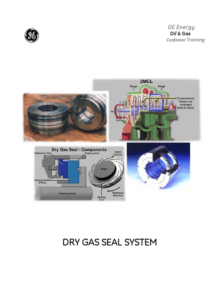 Dry Gas Seal Manual | PDF | Valve | Bearing (Mechanical)