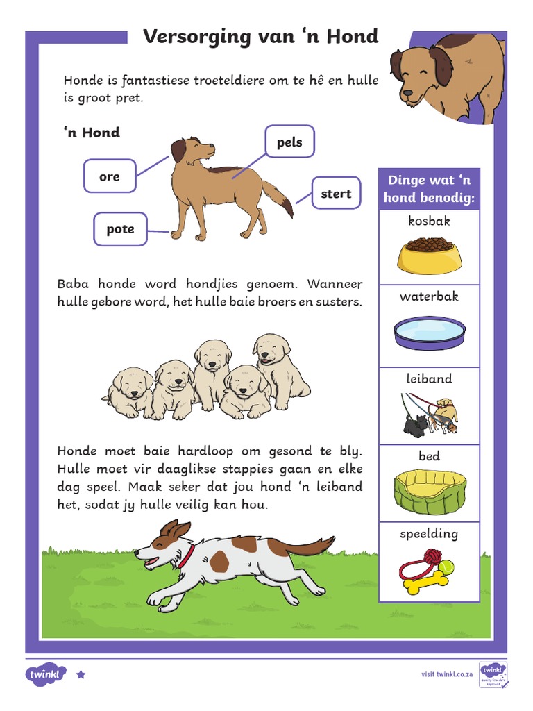 Za T T 2546651 Hoe Om N Hond Te Versorg Begripslees Aktiwiteit ...