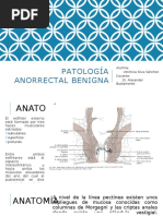 El Paciente Con Proctorragia Como Abordarlo | PDF | Hemorroides ...