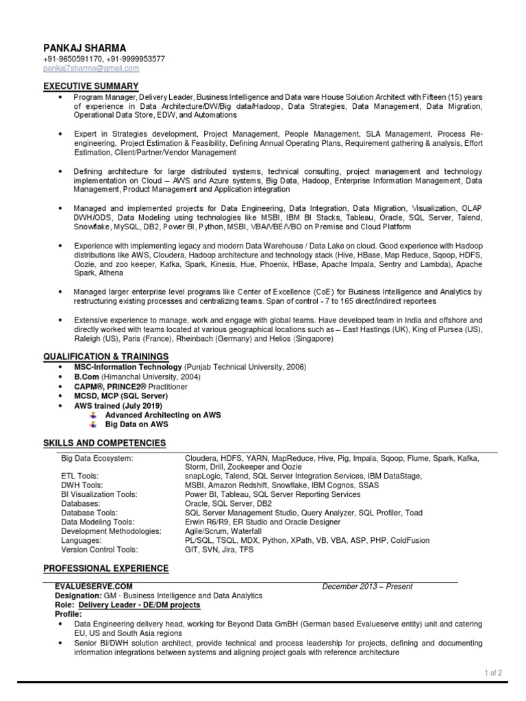 Pankaj Sharma: Executive Summary | PDF | Business Intelligence | Apache Hadoop